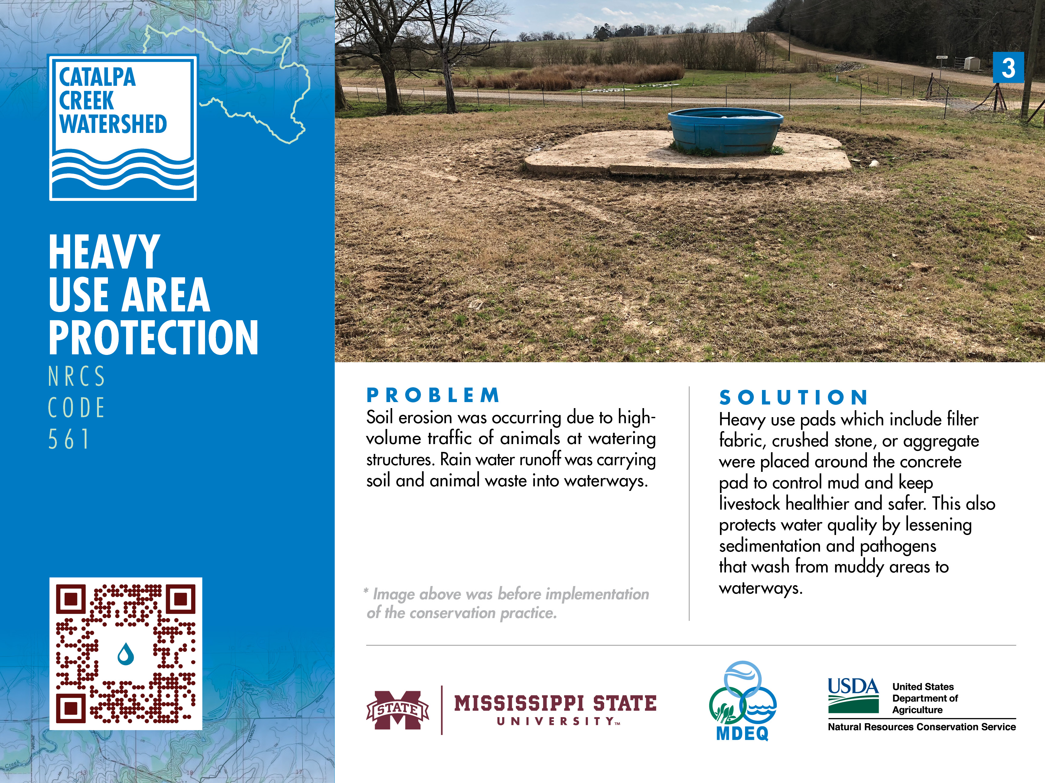 Mississippi Agricultural and Forestry Experiment Station | Mississippi ...