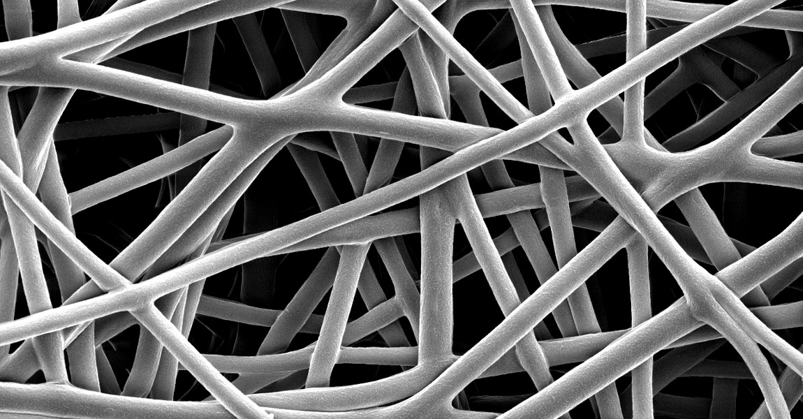 Engineering For Health | Mississippi Agricultural and Forestry ...