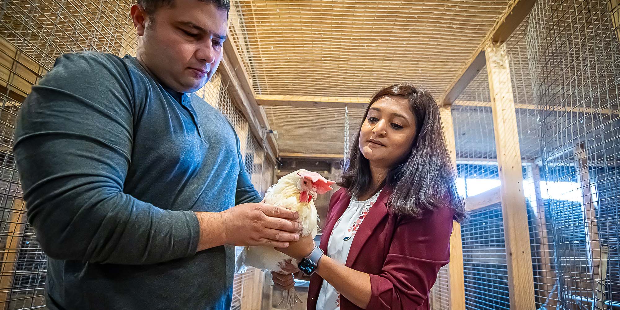 Biotics to the Rescue | Mississippi Agricultural and Forestry ...